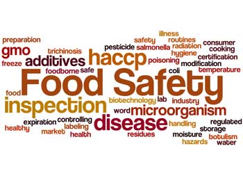 7 Simple Tools for a More Proactive Food Safety Approach | InfinityQS